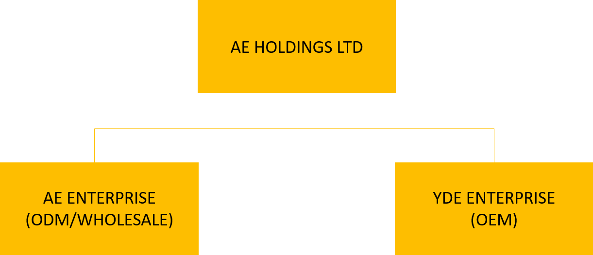 About Us – AE Enterprise